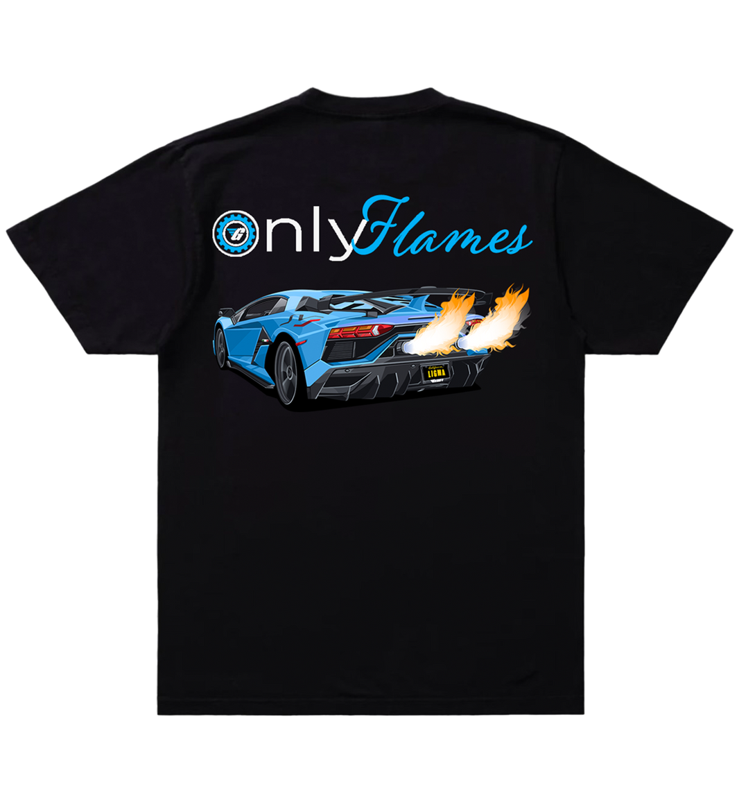 Products – Gintani LA